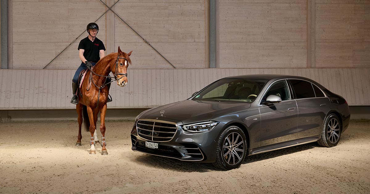 MANUFAKTUR-Ledersitze und Pferdesättel: Handwerkskunst im Vergleich